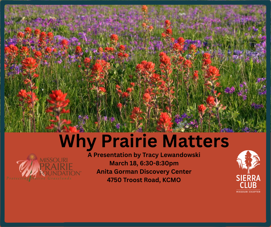 (Kansas City) Why Prairie Matters, a talk with special guest Tracy ...